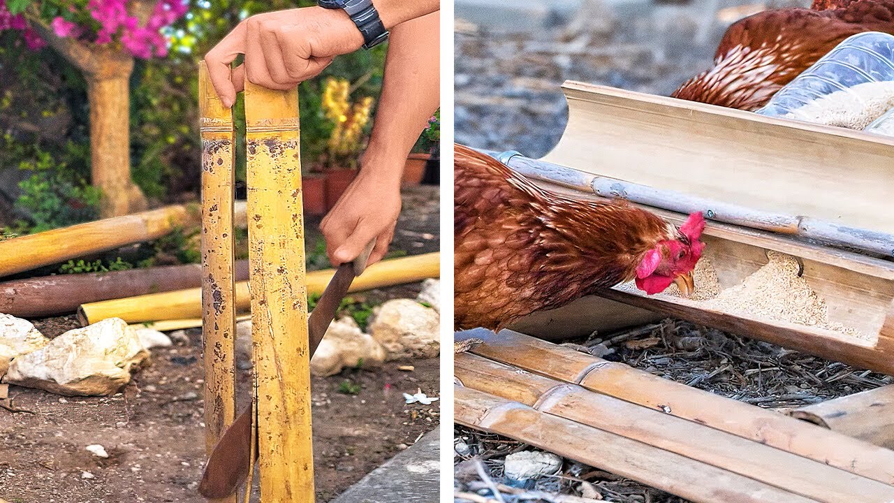 Build Your Dream Farm and Raise Chicken Like a PRO! - YouTube