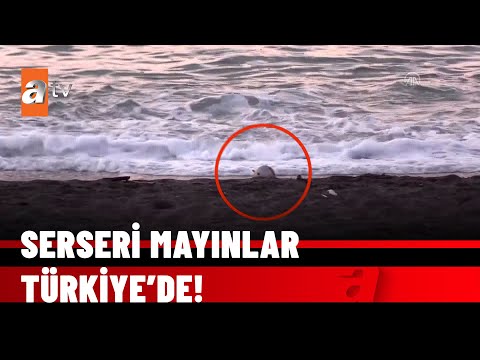 Türkiye, Rusya – Ukrayna Savaşı için diplomasi trafiğinde! Cumhurbaşkanı, Belçika’ya gidiyor