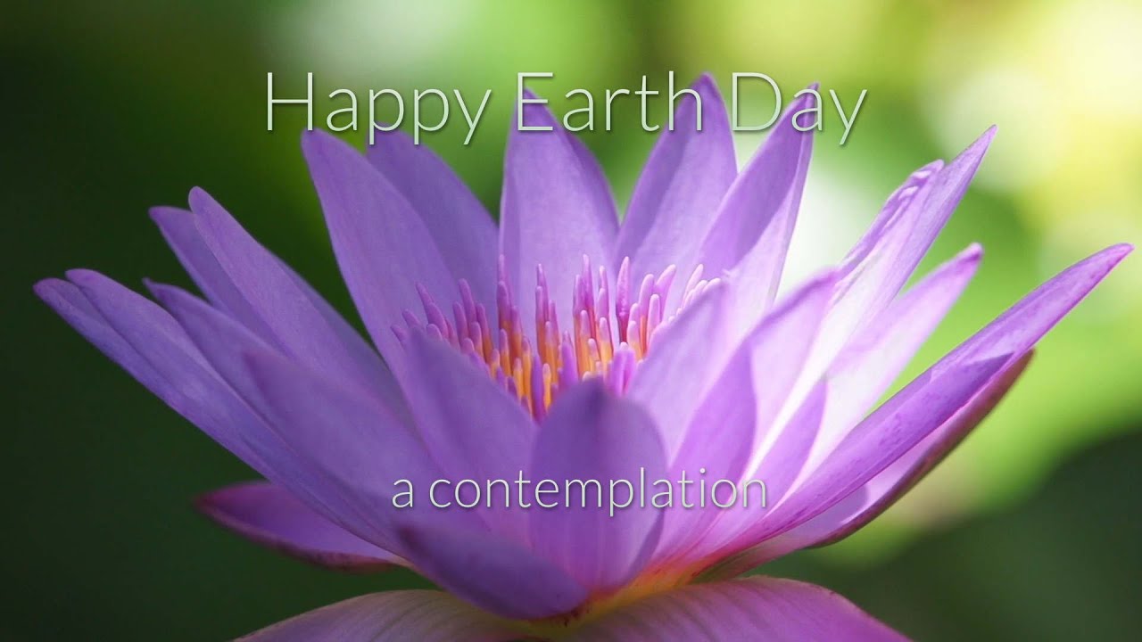 Nature TV - The Earth Day Meditation by underwatercam - YouTube