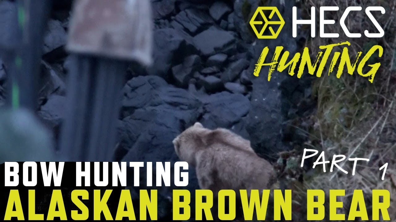 Bowhunting Alaskan Brown Bear Part I - Hunting with HECS Full Show - YouTube