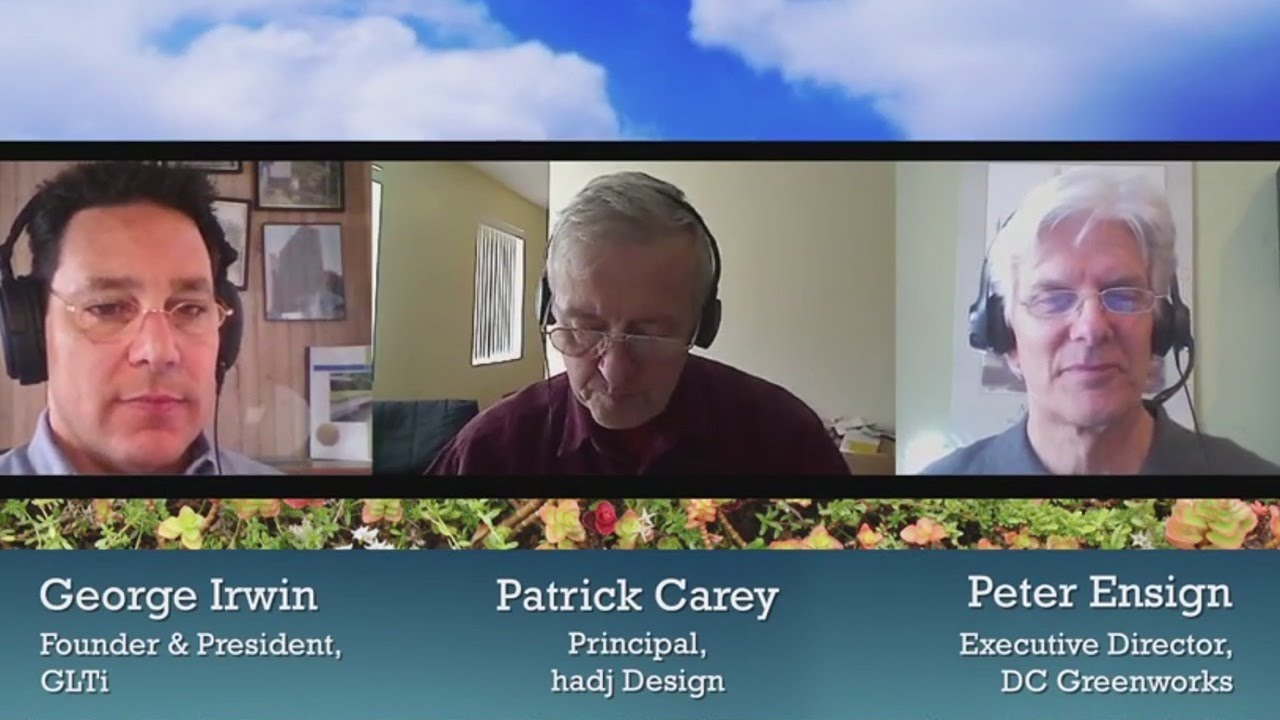 "Social Healing with Greening" Panel - Part 1 with Patrick Carey, Peter ...