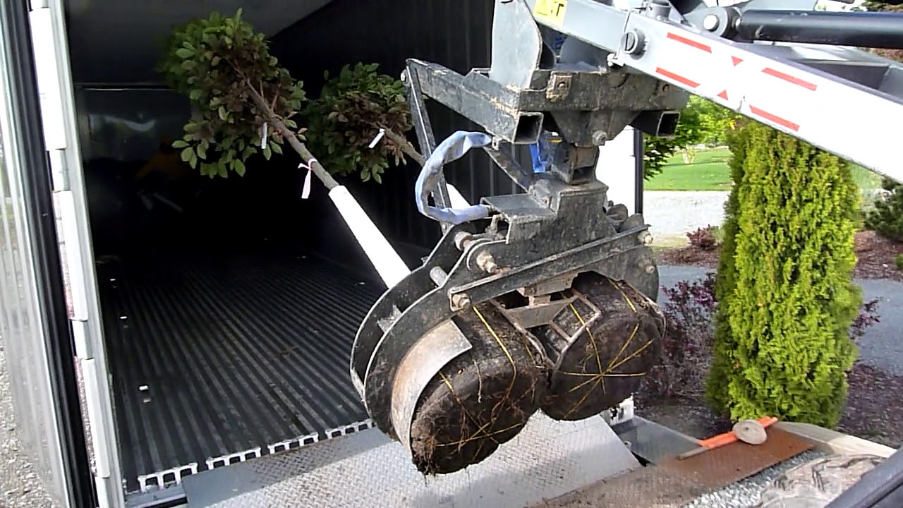 Loading Trees at Urban Forest Nursery - YouTube