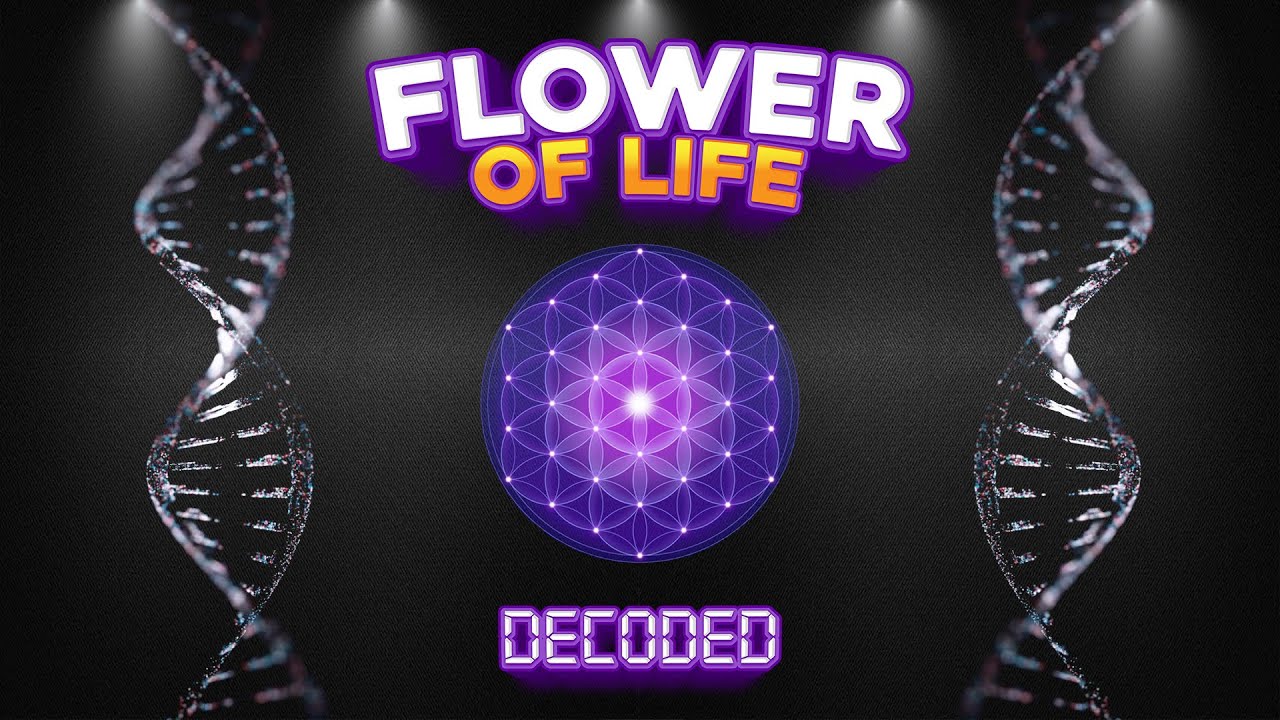 FLOWER OF LIFE DECODED - YouTube