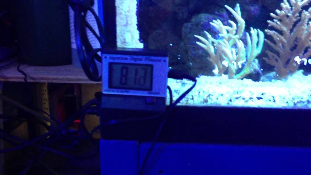 Kalk King Kalwasser Doser Works hand-in-hand with a CA Rx - YouTube