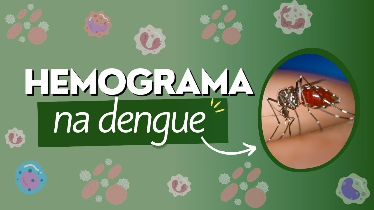 Tudo sobre Hemograma na Dengue - YouTube