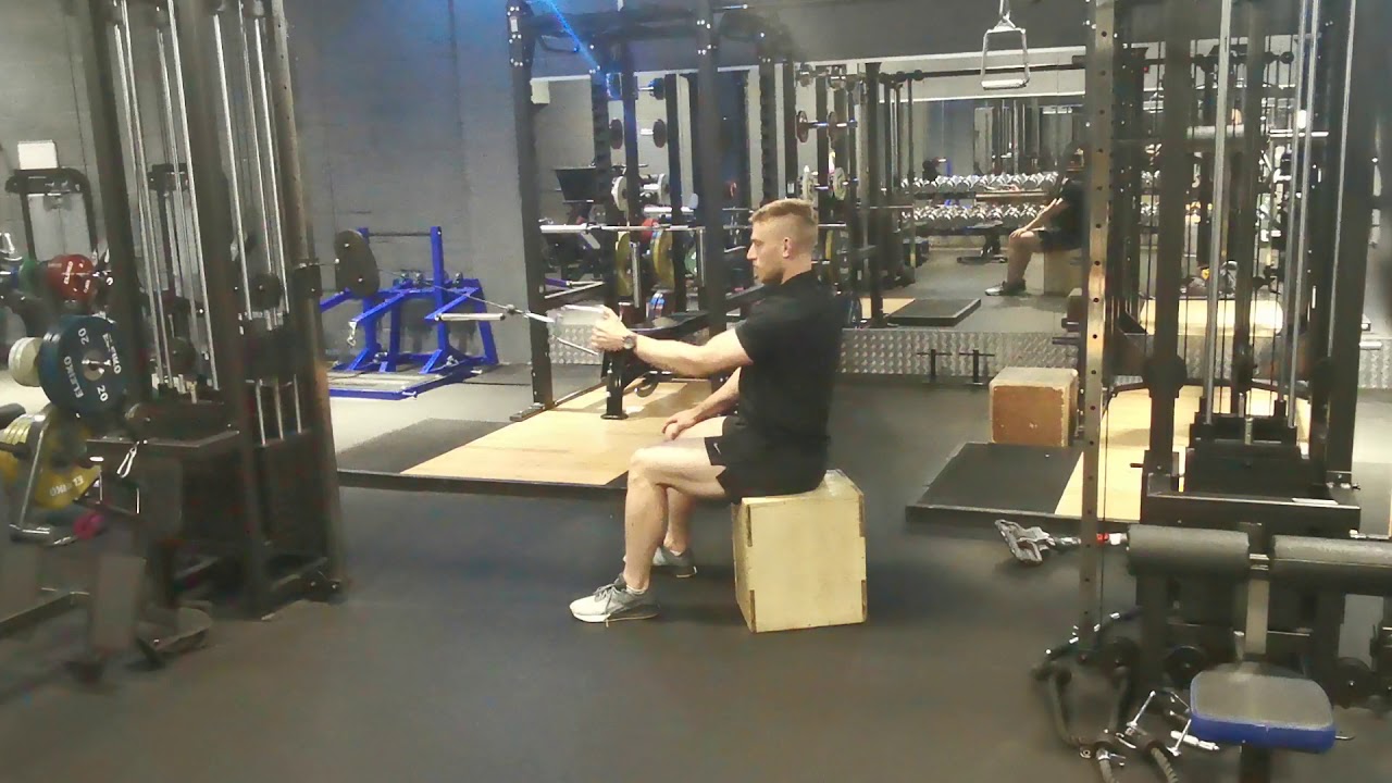 Seated Single Arm Horizontal Cable Row - YouTube