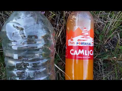EŞEK VE SARICA ARI KAPANI (TUZAĞI)