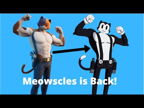 Meowscles is BACK!! - YouTube