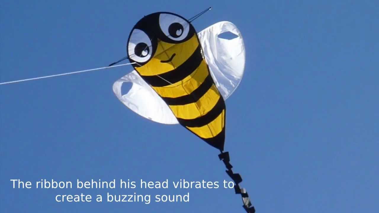 Buzzer Bee kite - YouTube