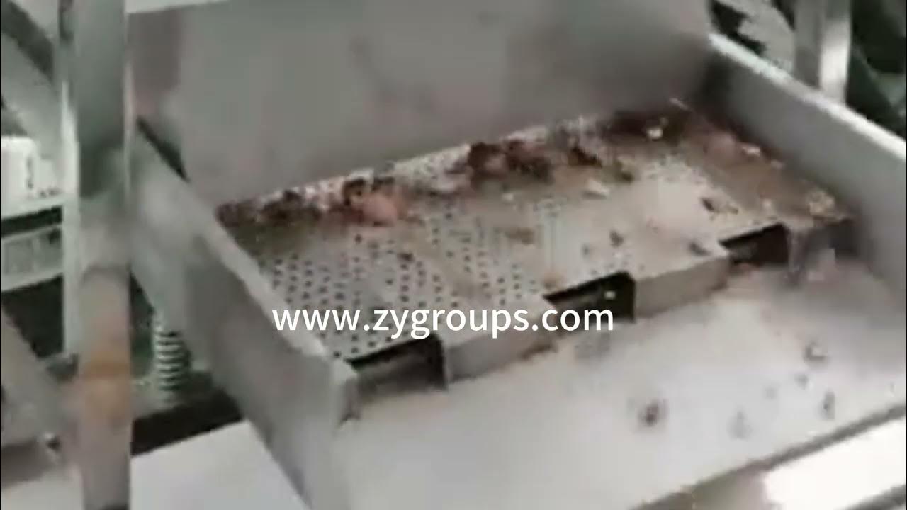 Walnut shelling machine - Walnut shelling and kernel separation machine-Cashew shelling machine ...