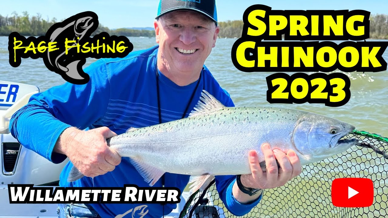 SPRING CHINOOK 2023 - WILLAMETTE RIVER SPRINGER FISHING - Trolling ...