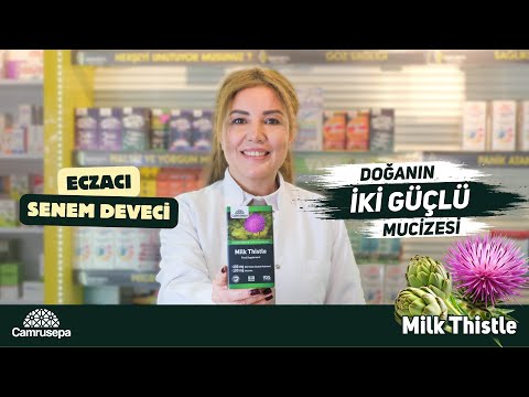 Doğanın İki Güçlü Mucizesi | Camrusepa Milk Thistle ile Sağlığınıza Destek Olun!