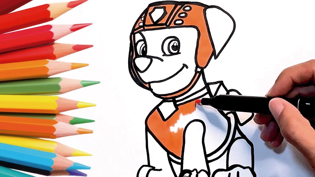 "Draw Zuma, the adorable rescue pup from PAW Patrol " - YouTube