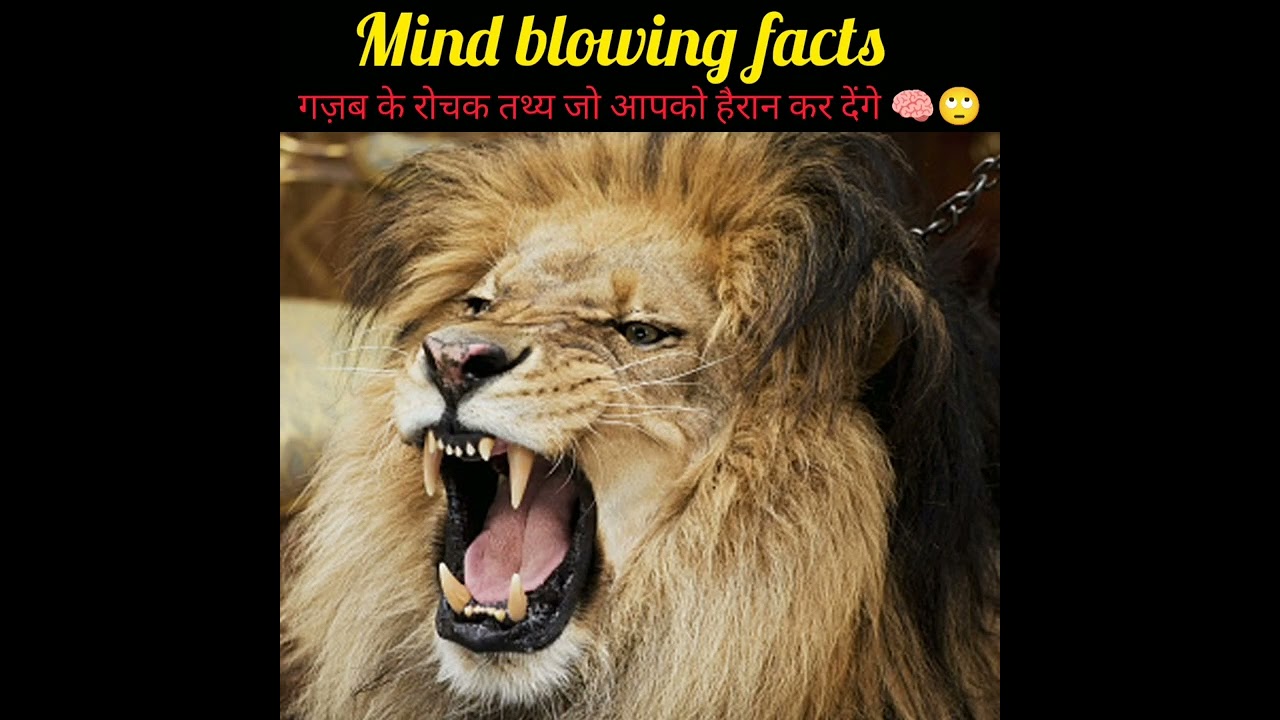 mind blowing facts गजब के रोचक तथ्य जो आपको हैरान कर देंगे 🧠🙄 - YouTube