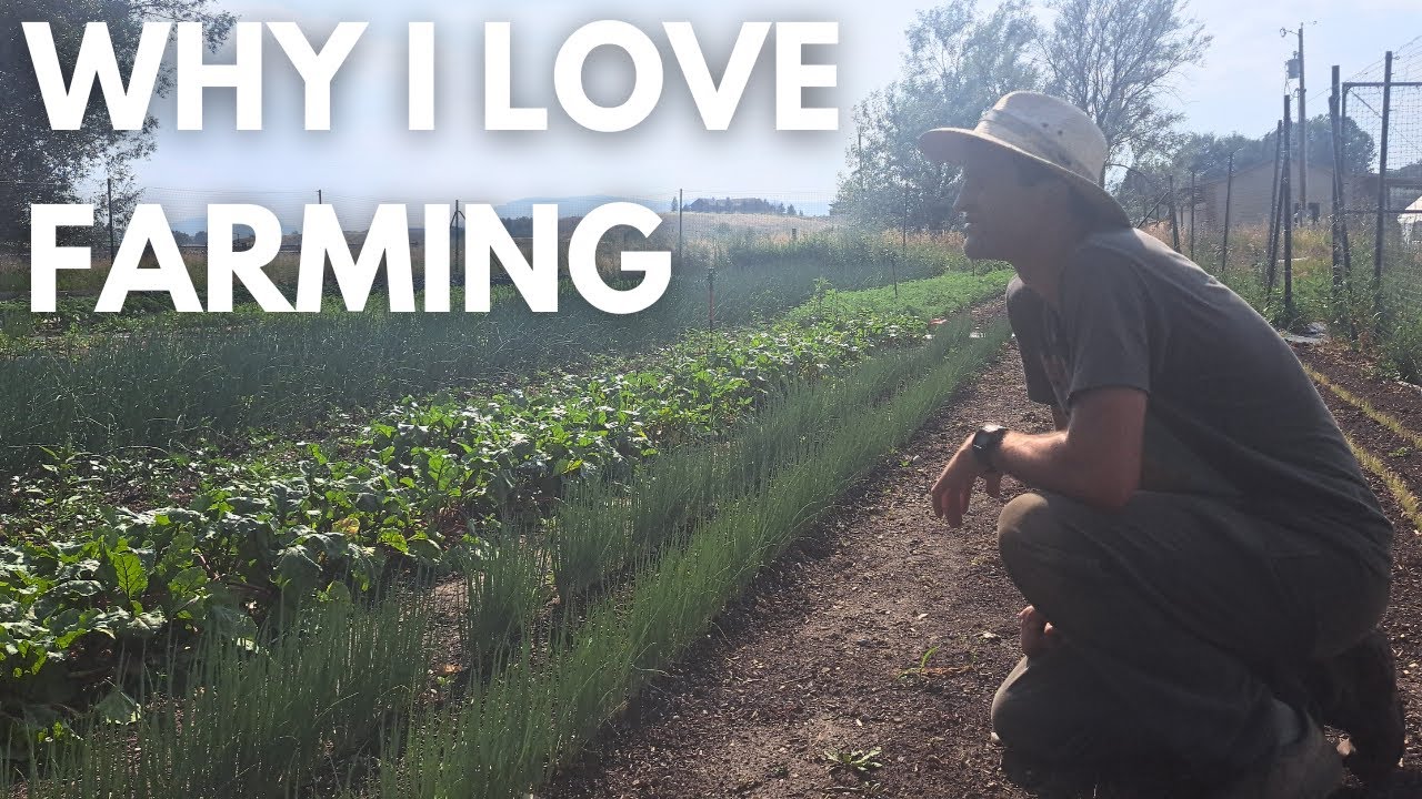 Why I Love Farming | 5 Reasons to start a farm from a farmer - YouTube