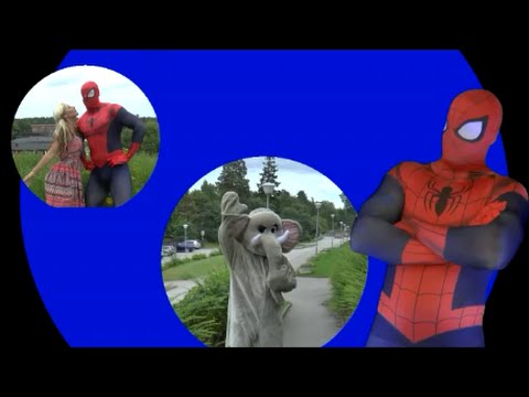 Super Hero Spider Man vs Dumbo the Elephand and Spider Man rescues a ...