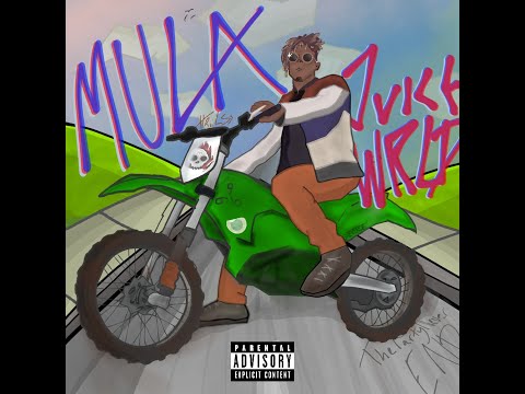 Juice Wrld - Mula (NEW LEAK) (GRAIL)