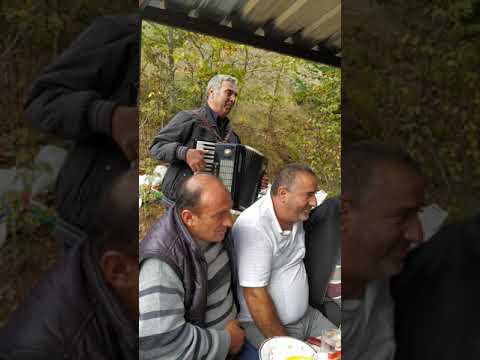 Georgi Saratikyan. Koti gyux