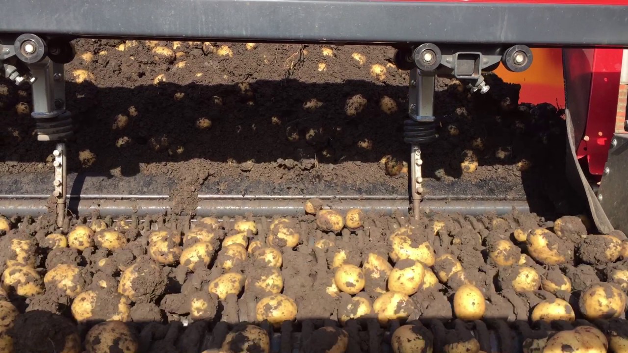 Miedema Smart Pin spiral roller cleaning system - YouTube