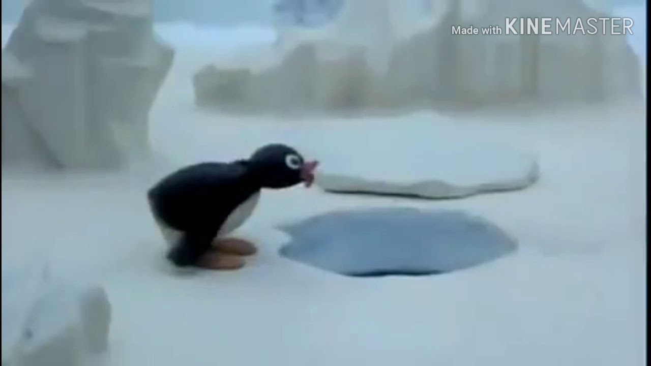 Pingu NOOOOO!!! - YouTube
