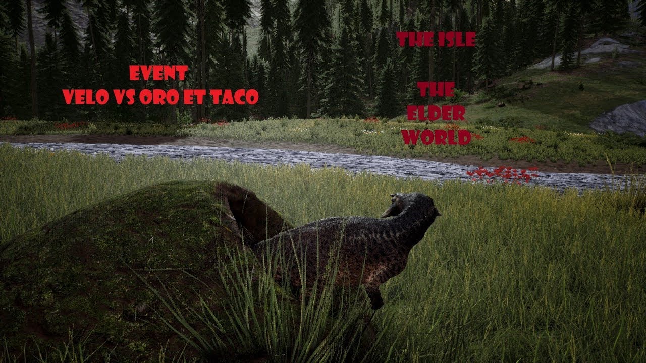 Event Velo VS Taco&Oro (The Isle Fr&En) - YouTube