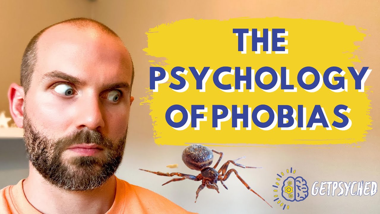 THE PSYCHOLOGY OF PHOBIAS - Understanding Phobias Better With ...