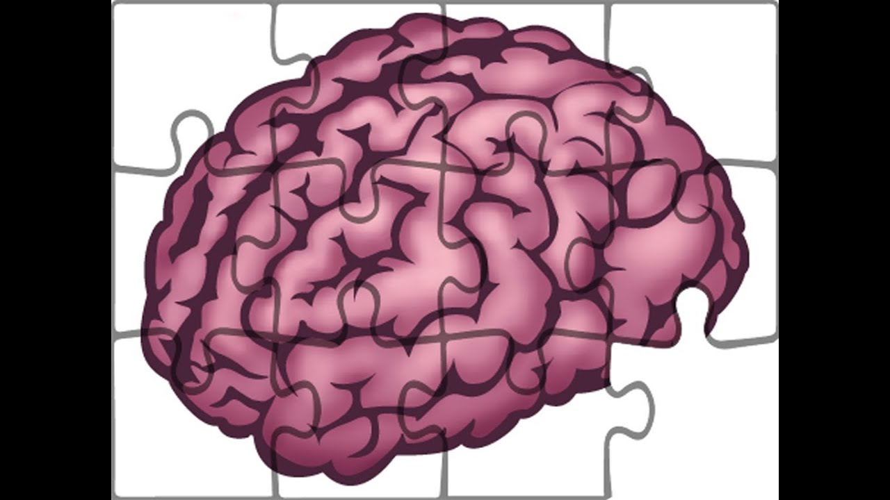 Anatomie - Hirnnerven: Nervus Accessorius (Teil 1/2) - YouTube