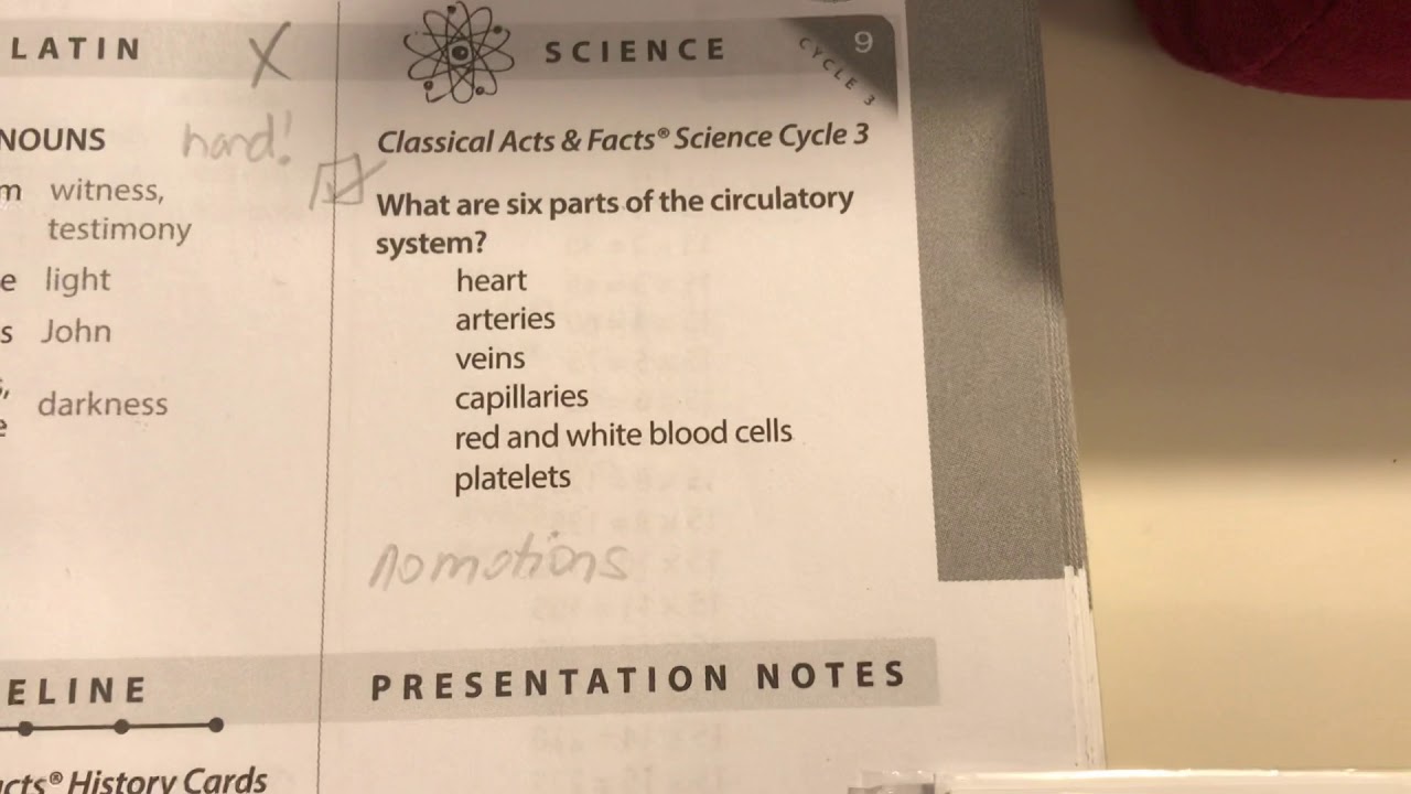 CC cycle 3 Week 8 science - YouTube