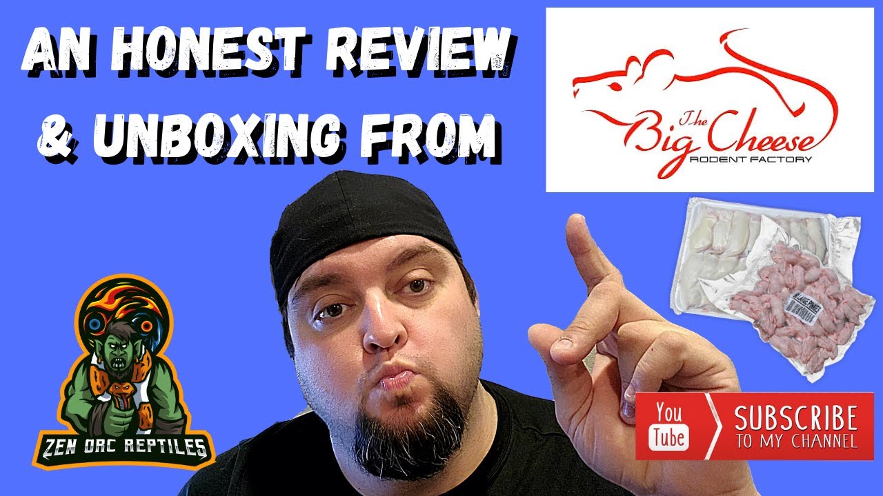 An Unboxing and Honest Review of The Big Cheese Rodent Factory! - YouTube