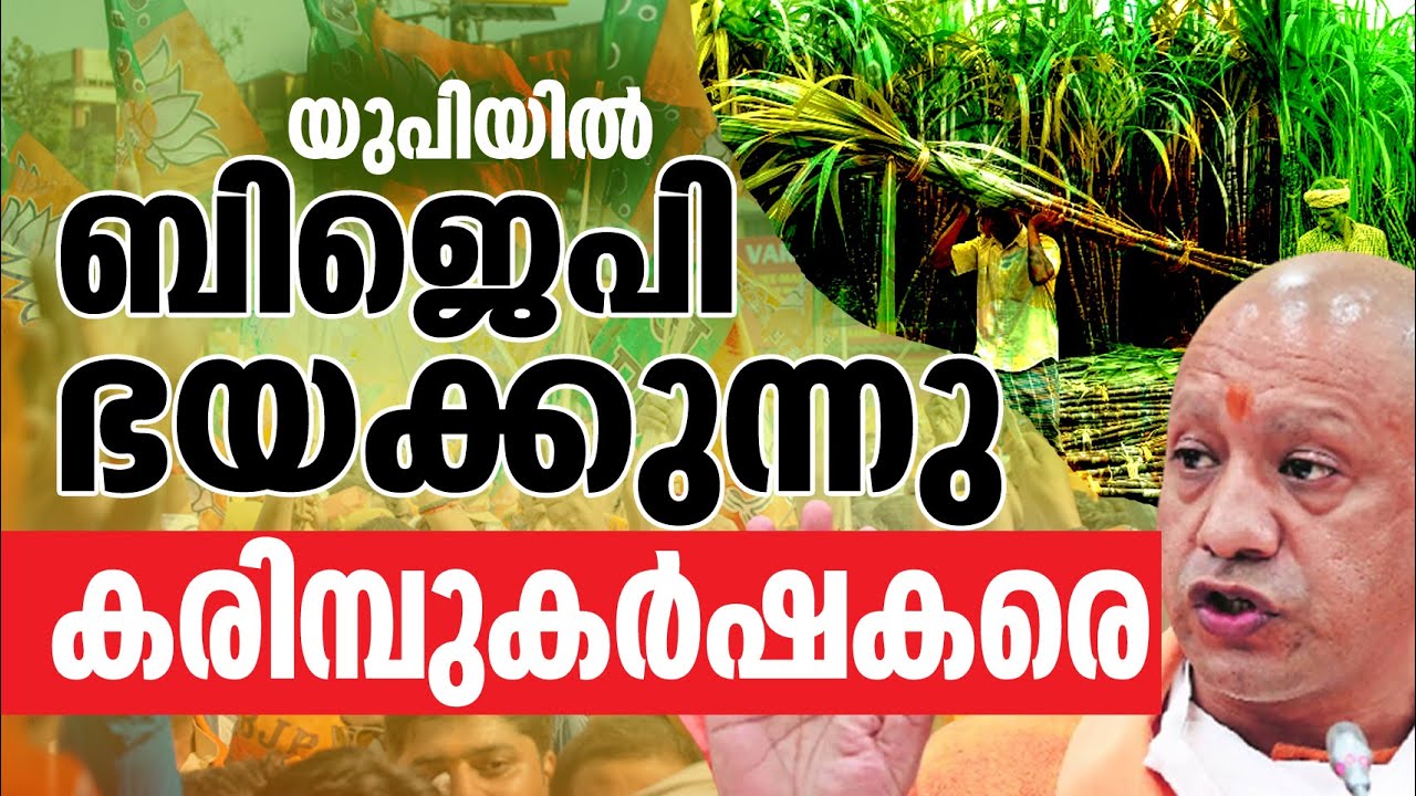 യുപിയില്‍ ബിജെപി ഭയക്കുന്നു കരിമ്പുകര്‍ഷകരെ |THEJAS NEWS - YouTube