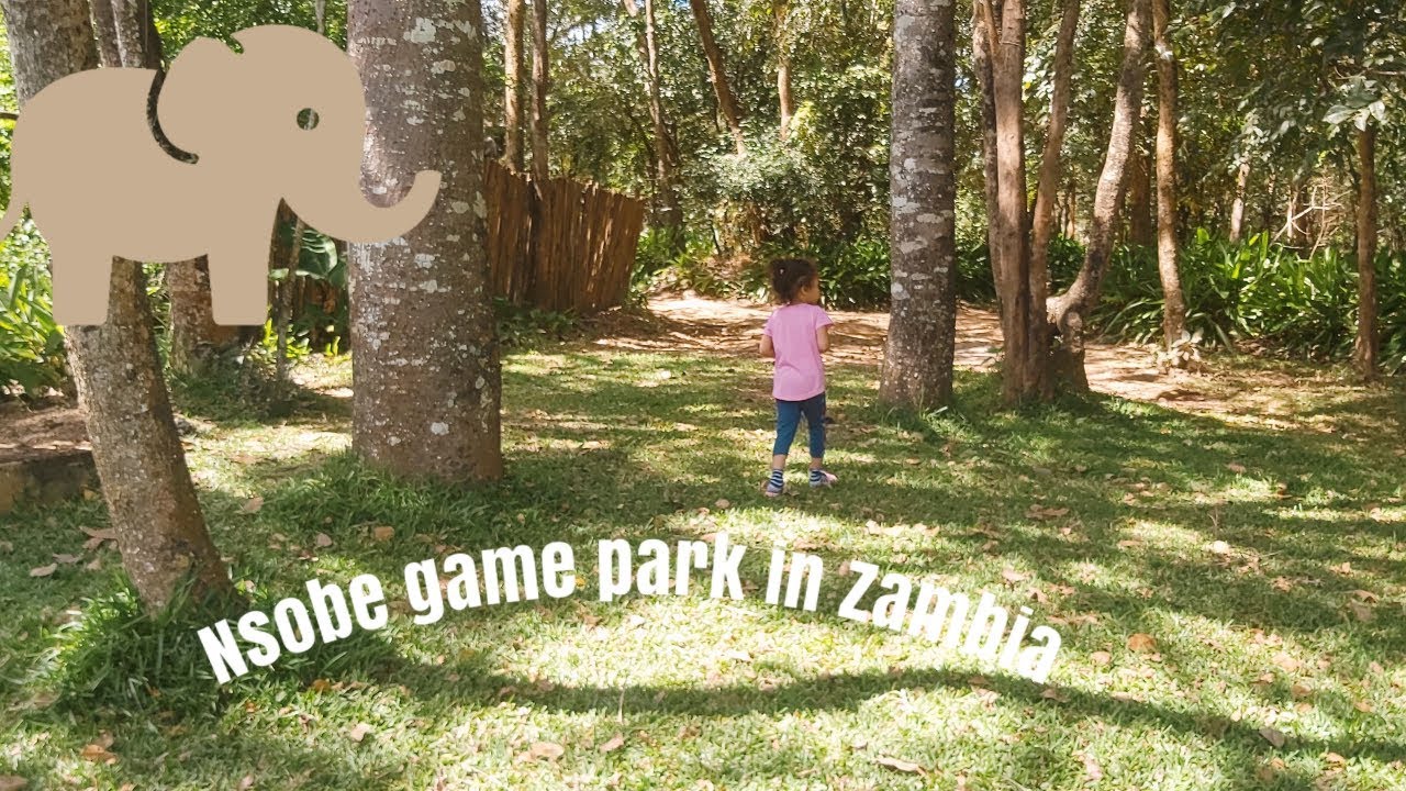 Arianna at Nsobe game park in Zambia (beautiful Zambia) - YouTube
