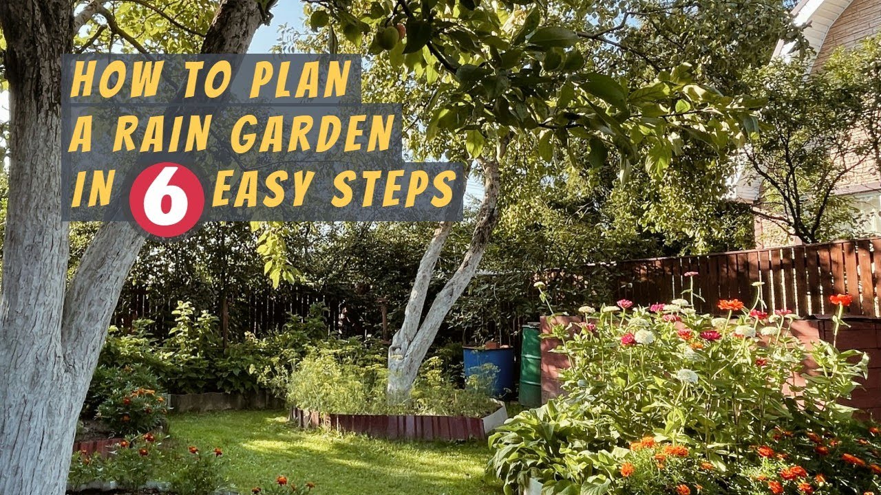 How To Plan a Rain Garden - YouTube