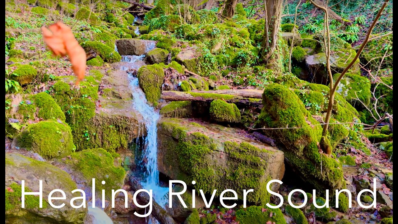 The Ultimate Relaxation in Nature River Sounds | Clear your Mind & Soul ... The Ultimate Relaxation in Nature River Sounds | Clear your Mind & Soul ...