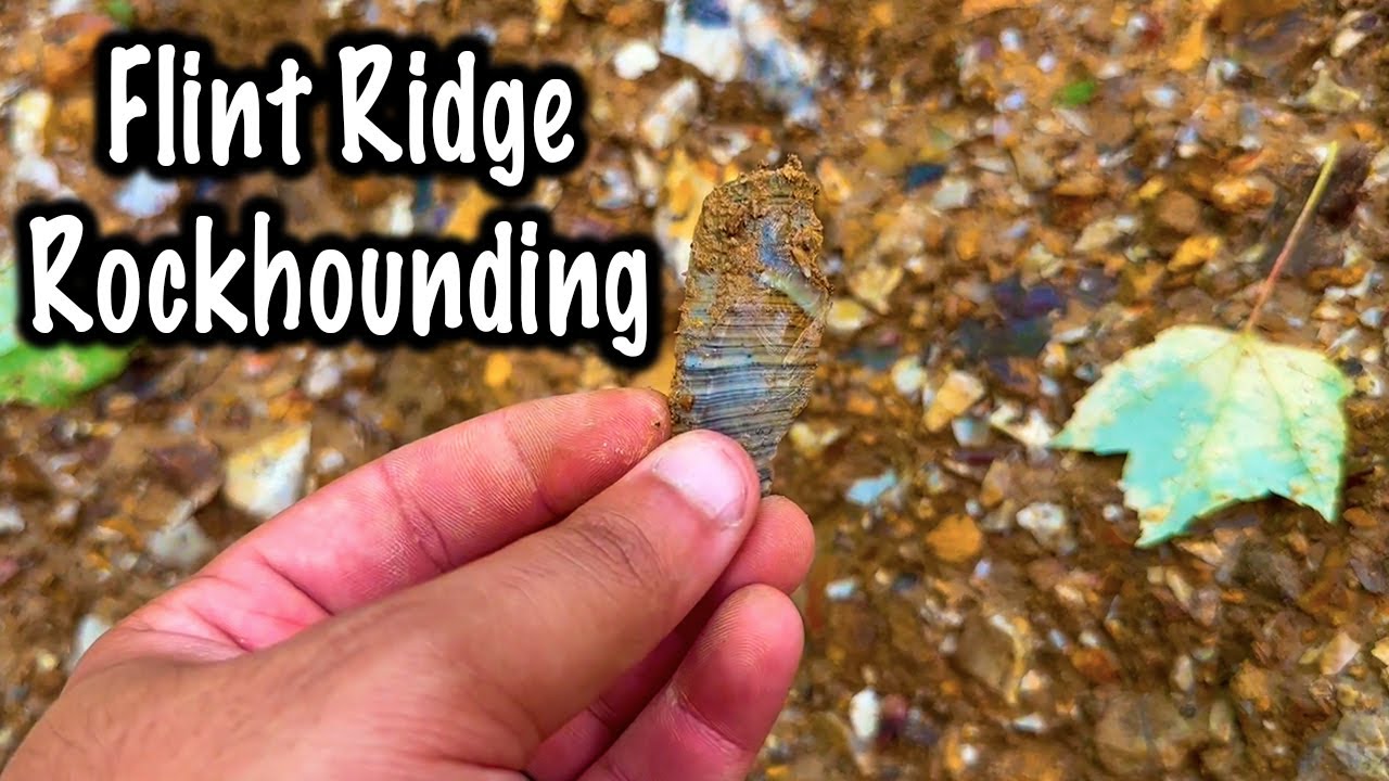 *EXTENDED VERSION* | MY FIRST TIME ROCKHOUNDING AT FLINT RIDGE in OHIO ...