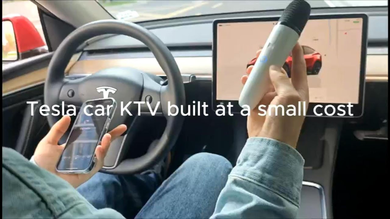 For less than 40 dollars, I got the joy of singing in my Tesla.#Tesla ...