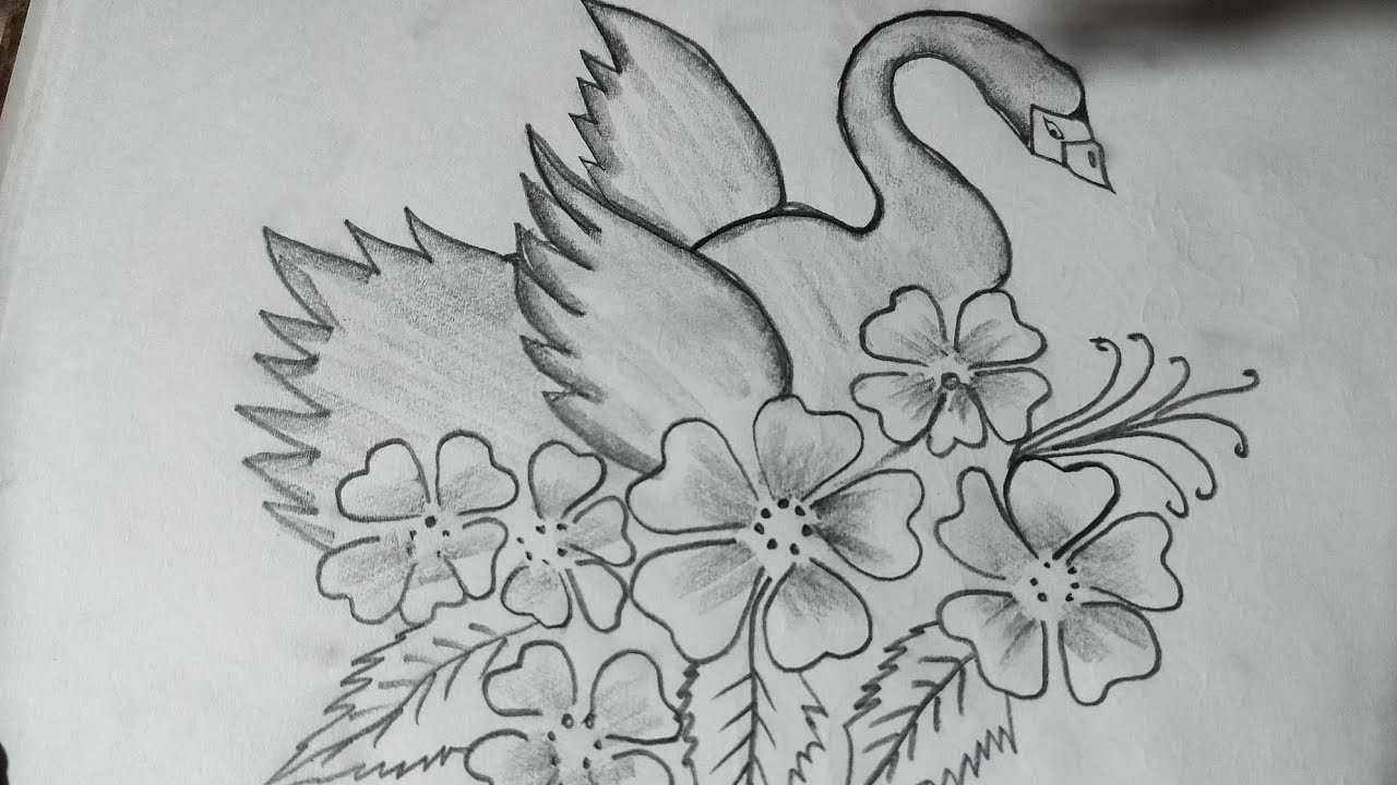हंस बनाना सीखे| how to draw a swan| Hans drawing| pencil art Hans ...