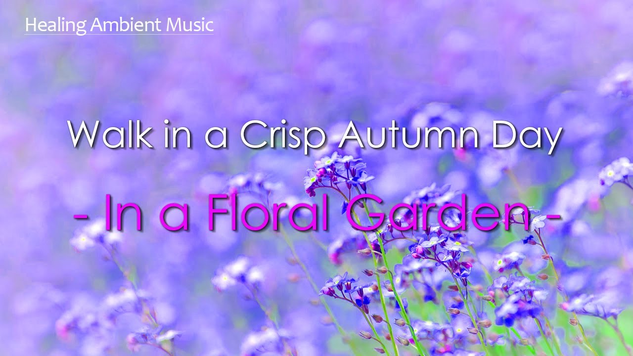 Peaceful Ambient Music - Walk in a Crisp Autumn Day 2 - In a Floral ...