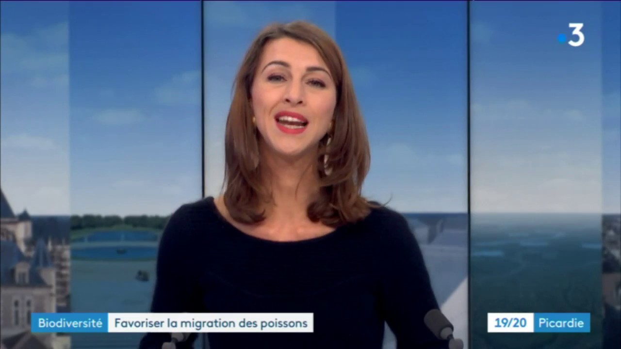 Reportage France 3 Picardie - la continuité piscicole - YouTube