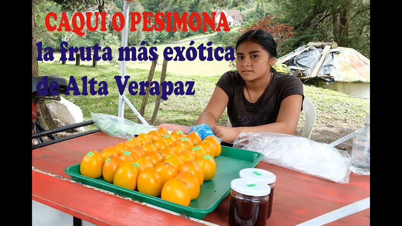 Las ricas persimonas. - YouTube