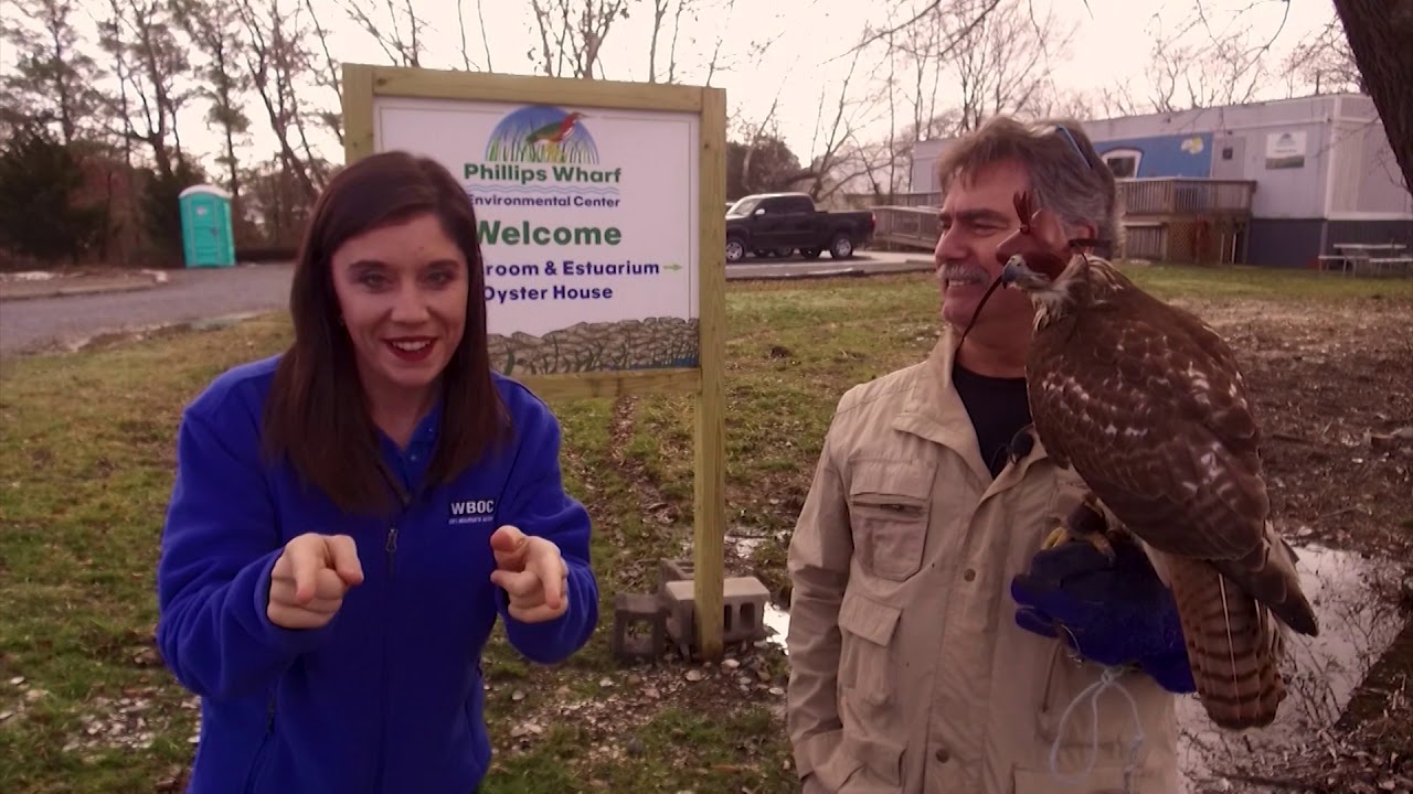 Katie Zarrilli Visits Tilghman Island To Learn About The Fascinating ...