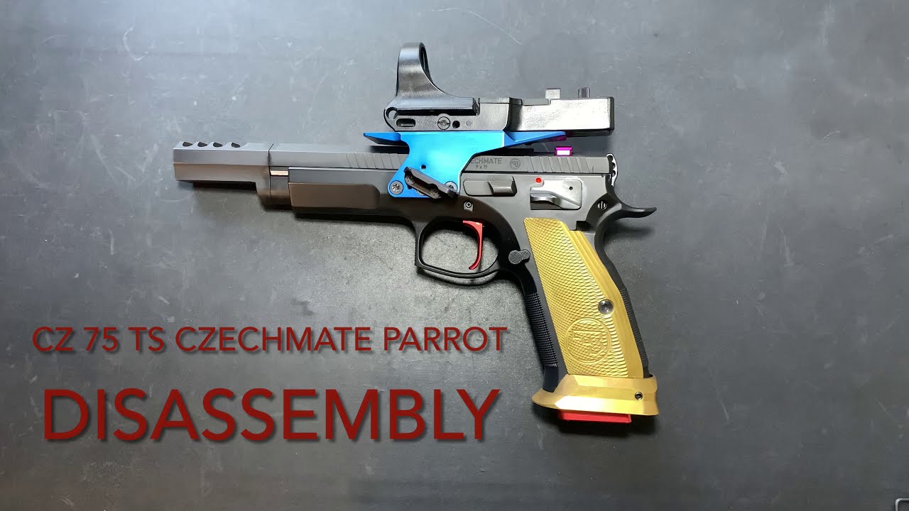 CZ 75 TS Czechmate Parrot Disassembly - YouTube