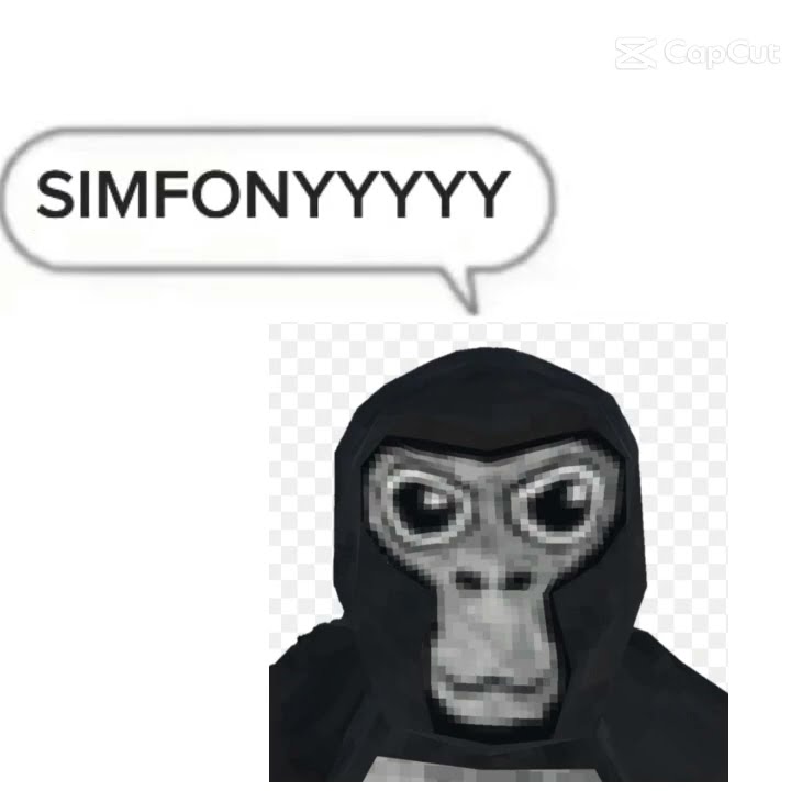 Simfony #funny #capcut #sigma #gtag #monkey #hastag #dolphin #symphony ...