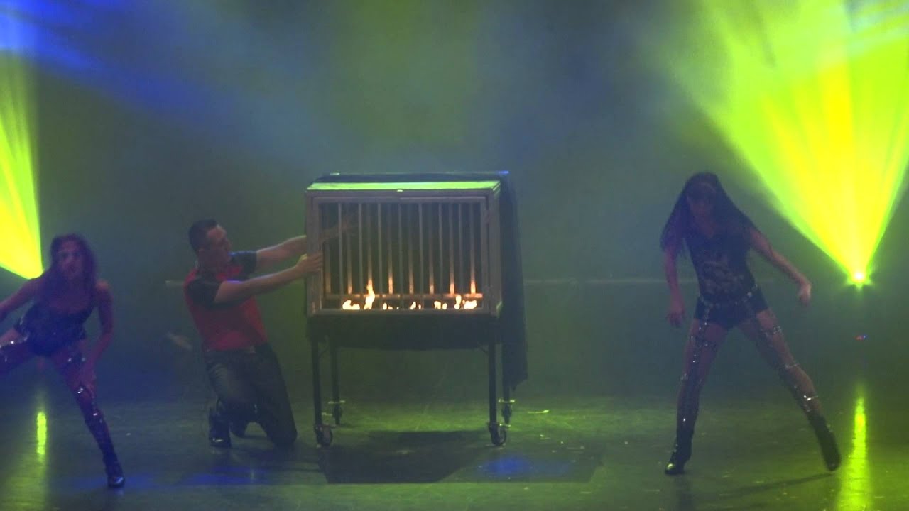 The magic of Axel & Kelly - Apparition d'une panthère ( Panther's ...