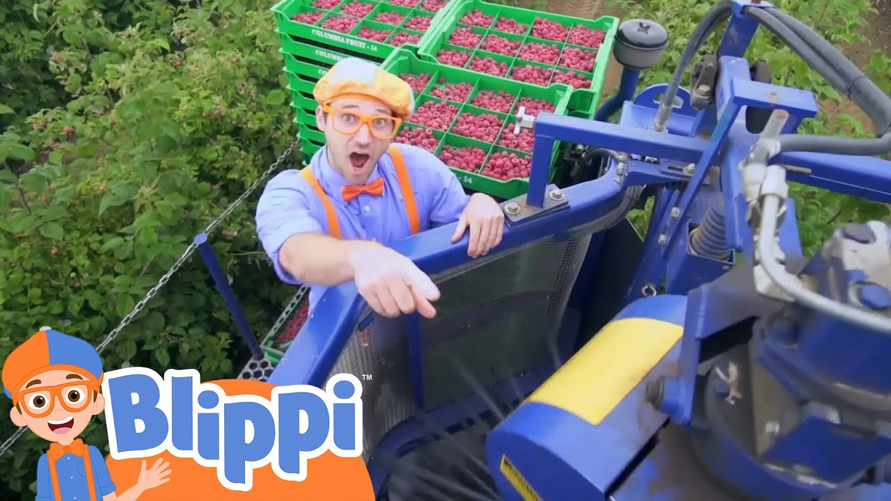 Blippi Visits a Raspberry Factory | Kids Fun & Educational Cartoons ...