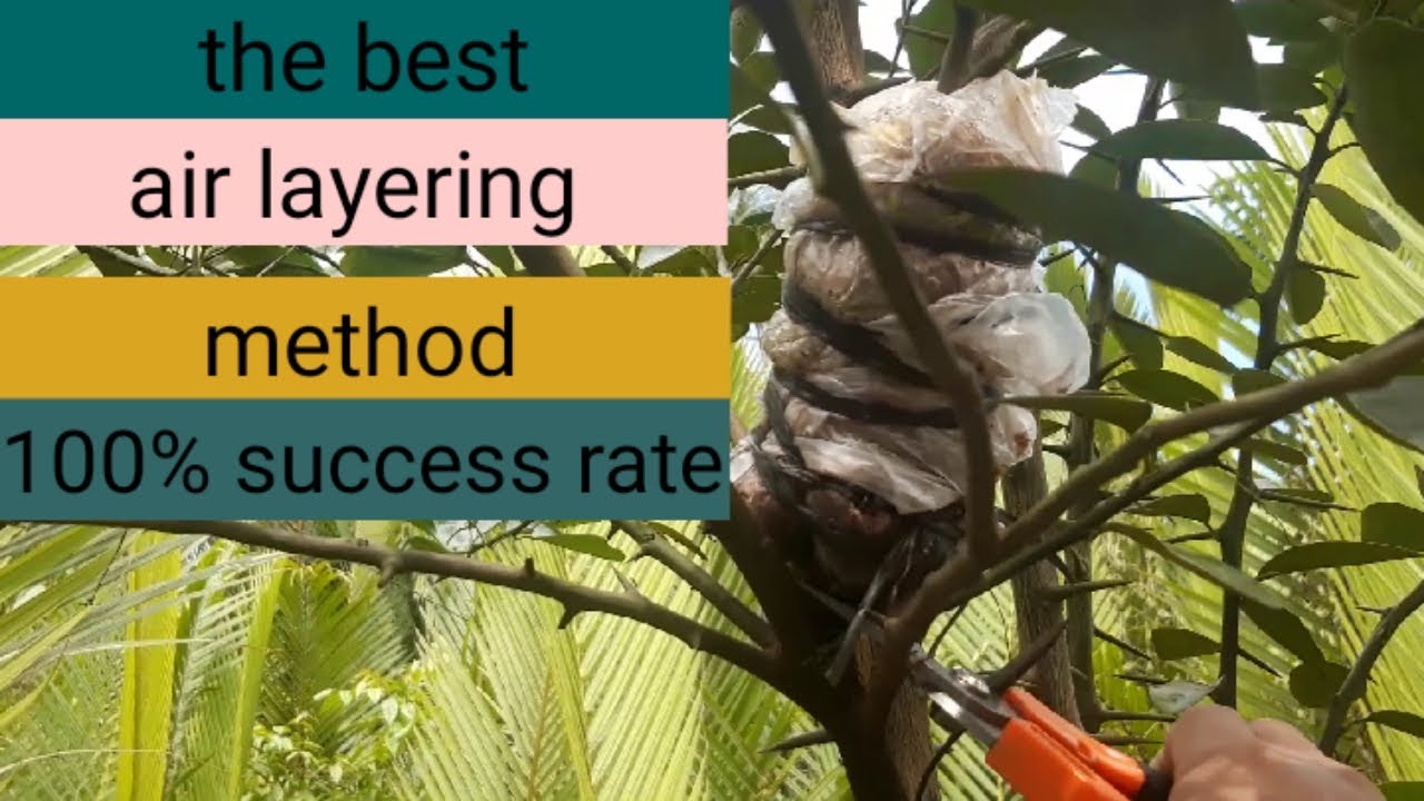 air layer propagation review - YouTube