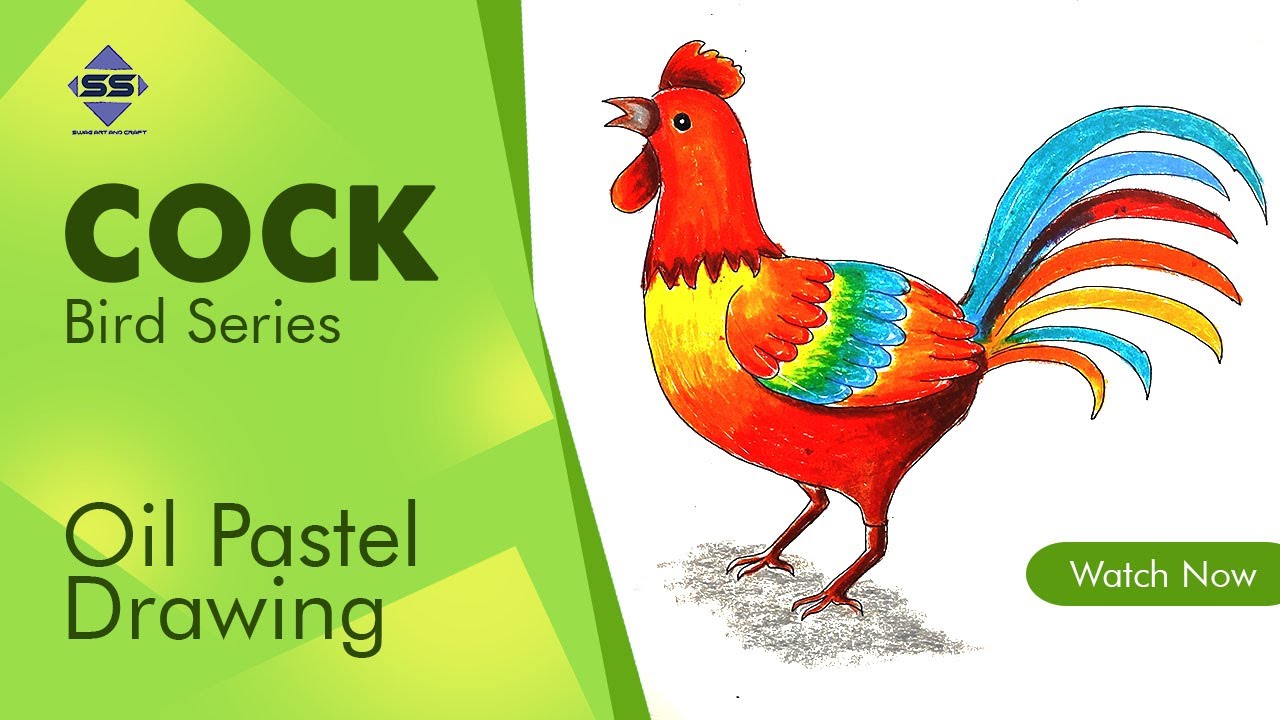 Cock Drawing || Oil Pastel Drawing || Easy Drawing Steps || By Swag Art ...