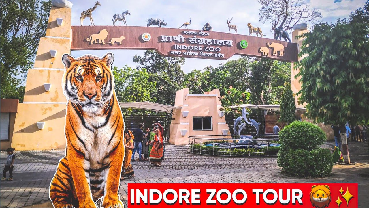 Indore Zoo Tour 🦁 ️ | Zoo Indore | Chidiya Ghar | Zoo | Indore Zoo Tour ...