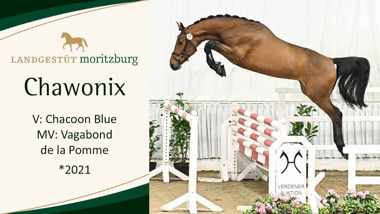 CHAWONIX v. Chacoon Blue - Vagabond de la Pomme - YouTube