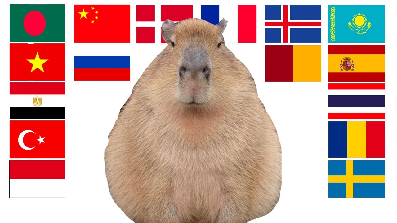 Capybara in different languages meme - YouTube