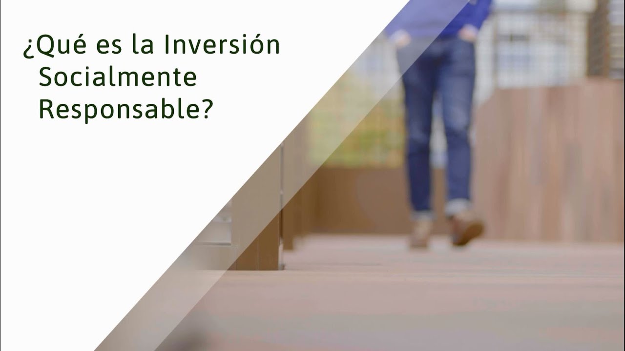 Todo lo que debe saber de la Inversión Socialmente Responsable (ISR ...